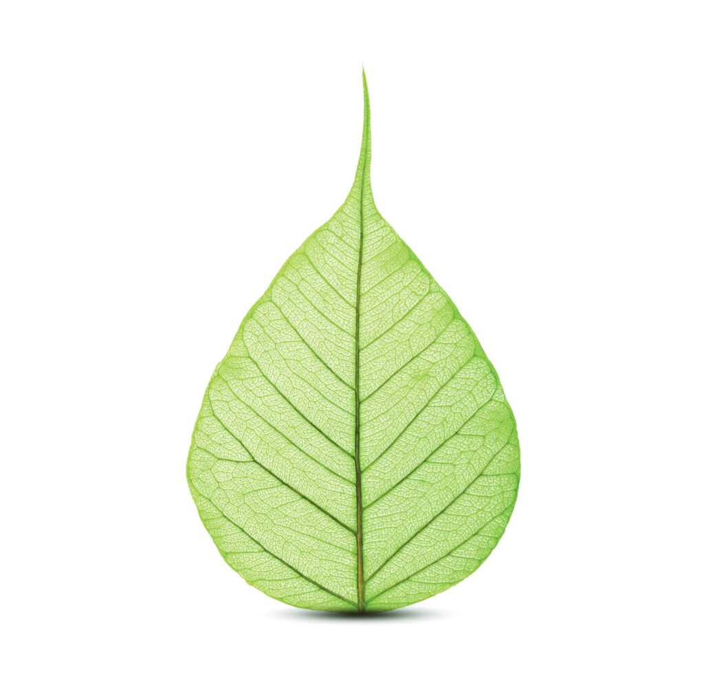 SABIC Offers Bio-Based Versions of All NORYL Resin Grades to Further ...